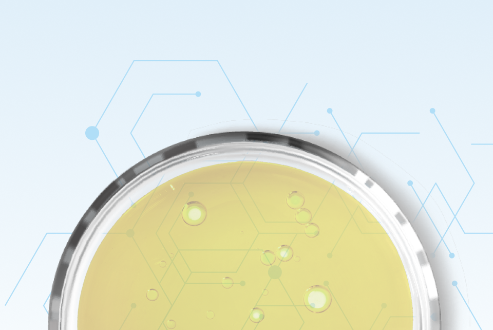 Bisabolol: How Bisabolol Provides Skincare Benefits | Cetaphil